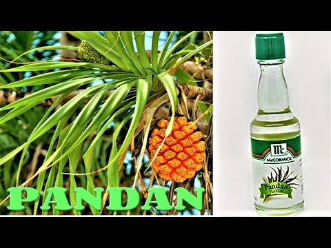 PANDAN ESSENCE/FLAVOR/EXTRACT