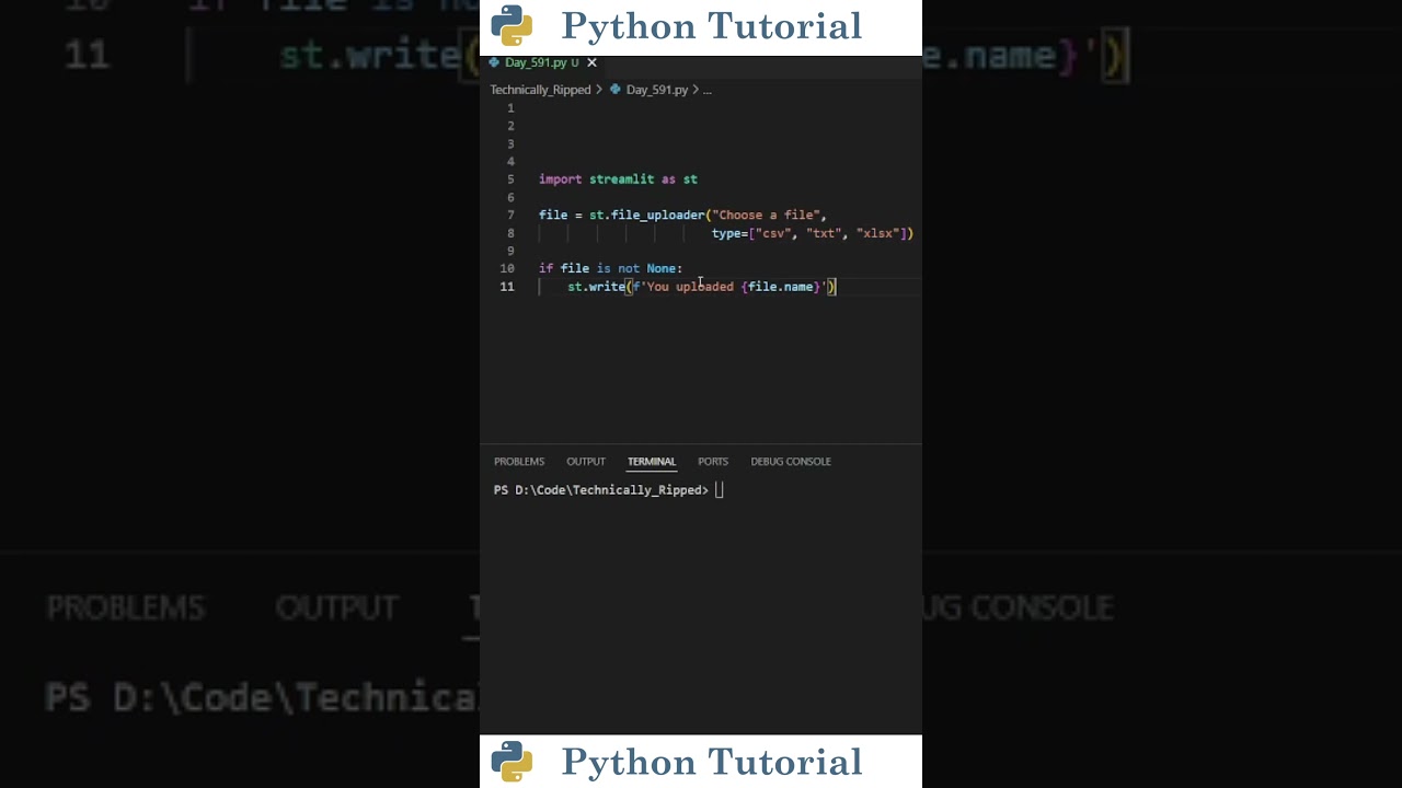 Adding File Uploader To Streamlit Web App | Python Tutorial