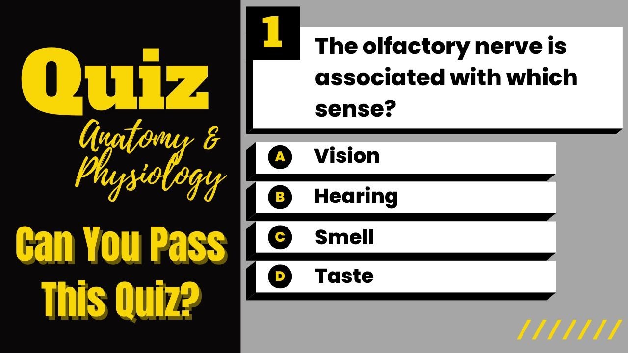 Only MED Students Score 25/30 on This Human Anatomy Quiz (Can You?) *