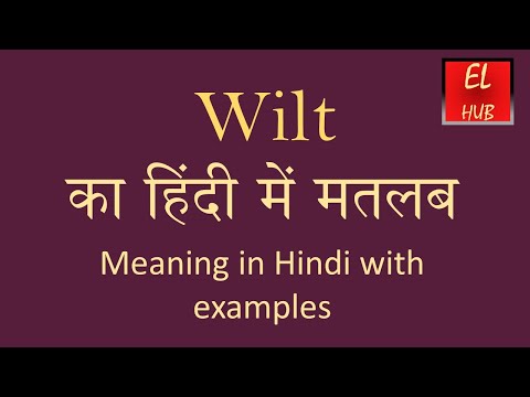 Wilt meaning in Hindi