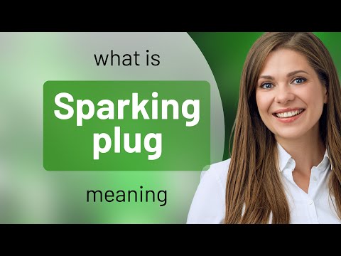 Sparking plug — SPARKING PLUG meaning