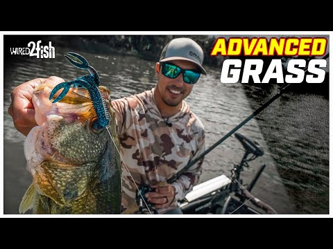 How to Find and Catch Bass in Weedy Lakes