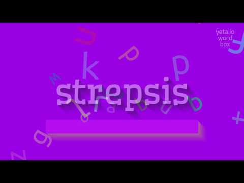STREPSIS - HOW TO PRONOUNCE STREPSIS?