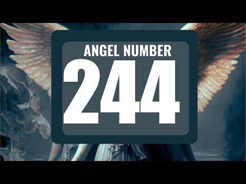 Why Do You Keep Seeing Angel Number 244 Everywhere? Exploring Its Meaning