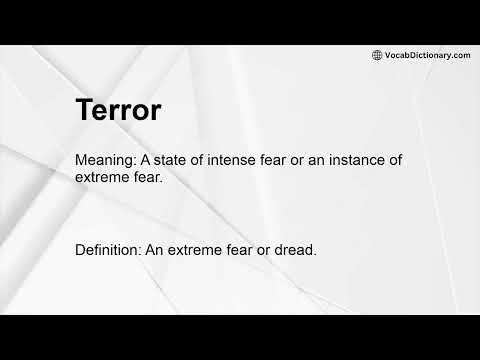 Terror Meaning