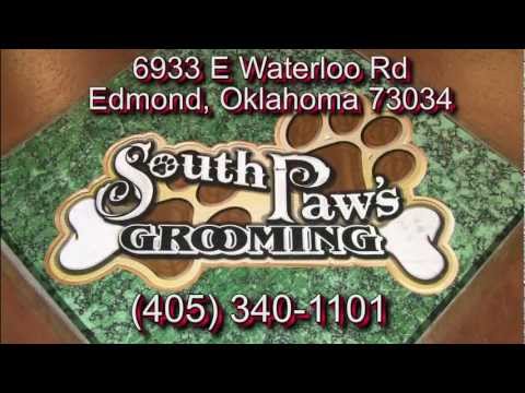 South Paw's Pet Groomers Edmond OK (405) 340-1101 Edmond Pet Grooming