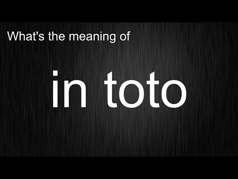 Learn How to Pronounce and Use "in toto" in English Like a Boss!