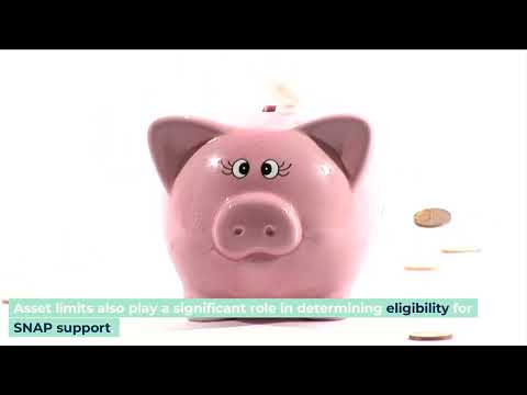 How to Apply for SNAP Benefits in Virginia: Eligibility, Process, and Tips