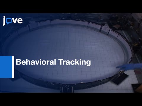 Behavioral Tracking of Freely Swimming Weakly Electric Fish | Protocol Preview