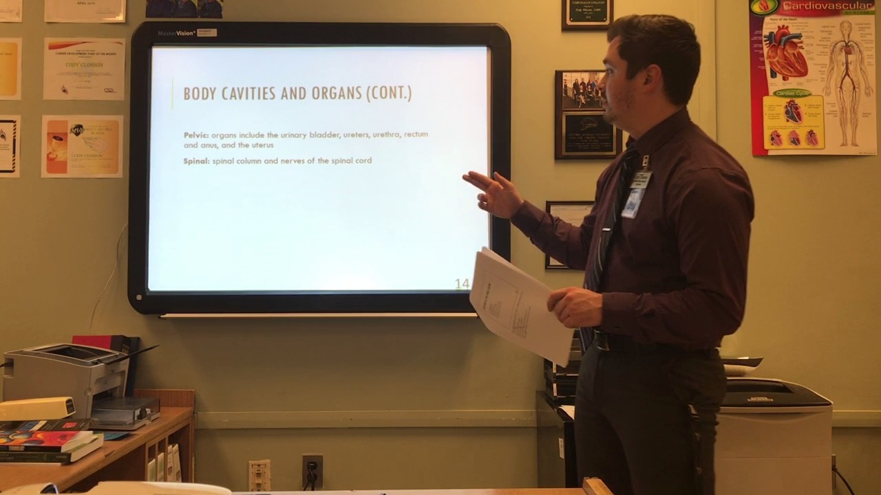 MT Chapter 2: Organization of the Body