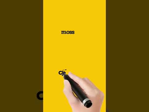 moss meaning in Hindi || moss ka matlab kya hota hai || #shorts