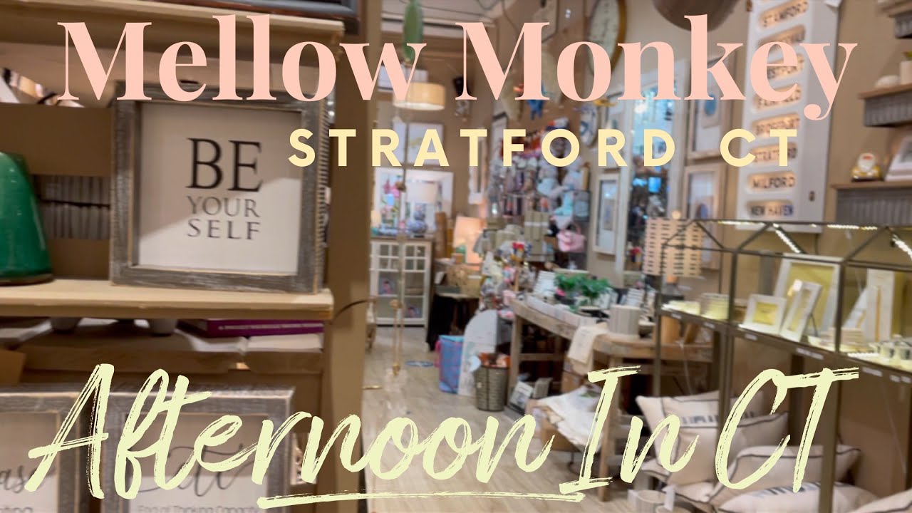 Mellow Monkey gift store Stratford CT