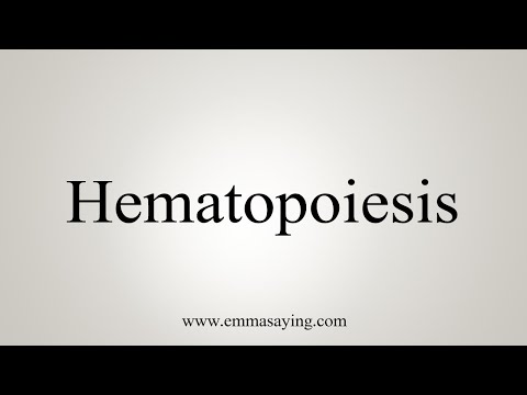 How To Say Hematopoiesis