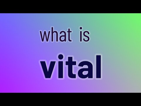 Vital - 54 English Vocabulary Flashcards