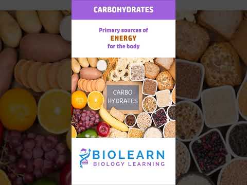 FUNCTIONS OF CARBOHYDRATES | TYPES OF CARBOHYDRATES | BioLearn