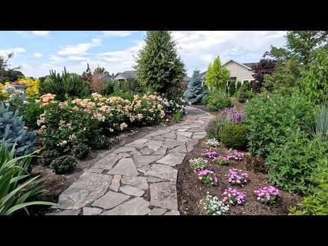 Planting Blue Wheat, Pearβd Roses, New Ironweed & Superbena! ππΎπ // Garden Answer