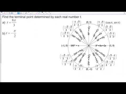 Determining Terminal Points