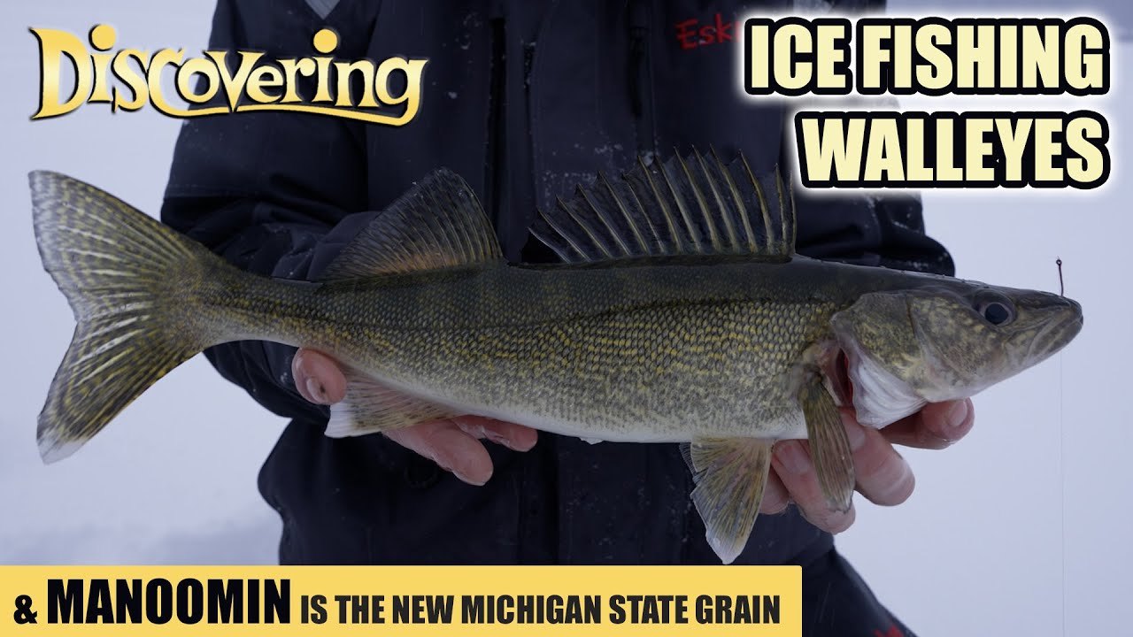 DISCOVERING | Lake Gogebic Walleyes