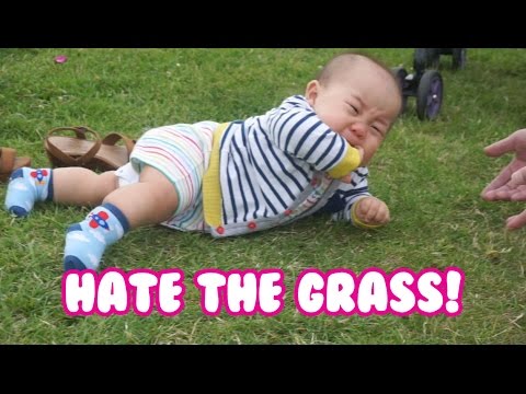 HATE THE GRASS