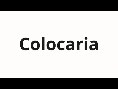 How to pronounce Colocaria
