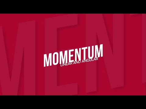 What is Momentum?