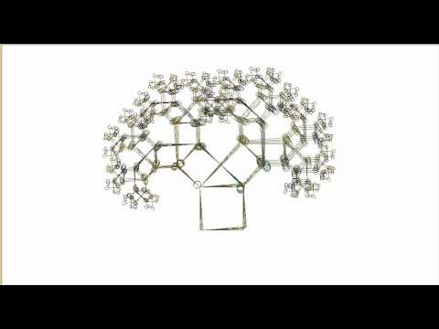 Kako raste drvo? | sve je to matematika