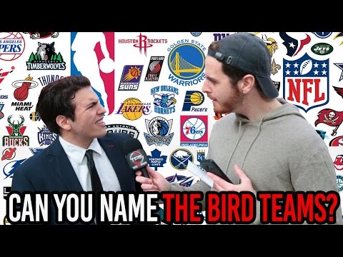 12 Sports Teams Named After Birds... CAN YOU NAME THEM?