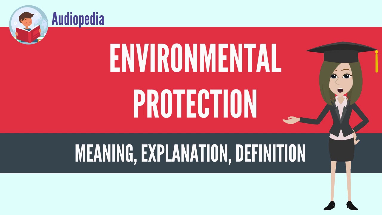 What Is ENVIRONMENTAL PROTECTION? ENVIRONMENTAL PROTECTION Definition & Meaning