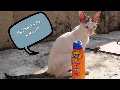 Holy Grail: Spray Sunscreen SPF 100 #bananaboat