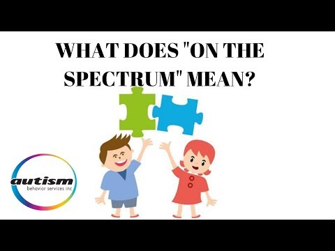 What does "on the spectrum" mean?
