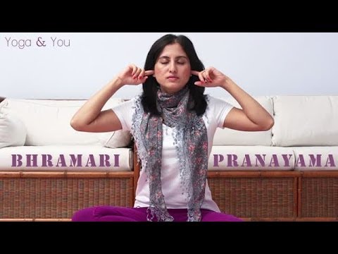How to do Bhramari Pranayama (Bee Breathing Technique) | Ventuno Yoga and You