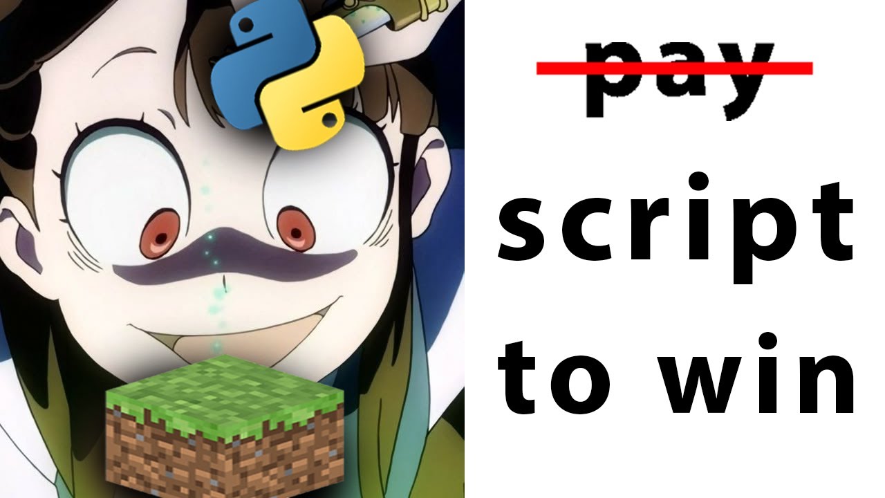 programmer vs skyblock (minecraft)