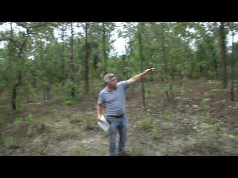 Lot 9 SW Winding Hills Rd. Dunnellon, FL. 34431 - Item - 699182