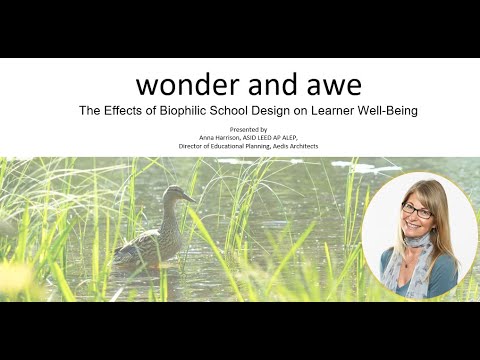 Wonder and Awe: The Effects of Biophilic School Design on Learner Well-Being