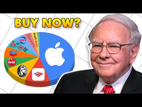 Warren Buffett's Stock Portfolio Deep Dive in 2024