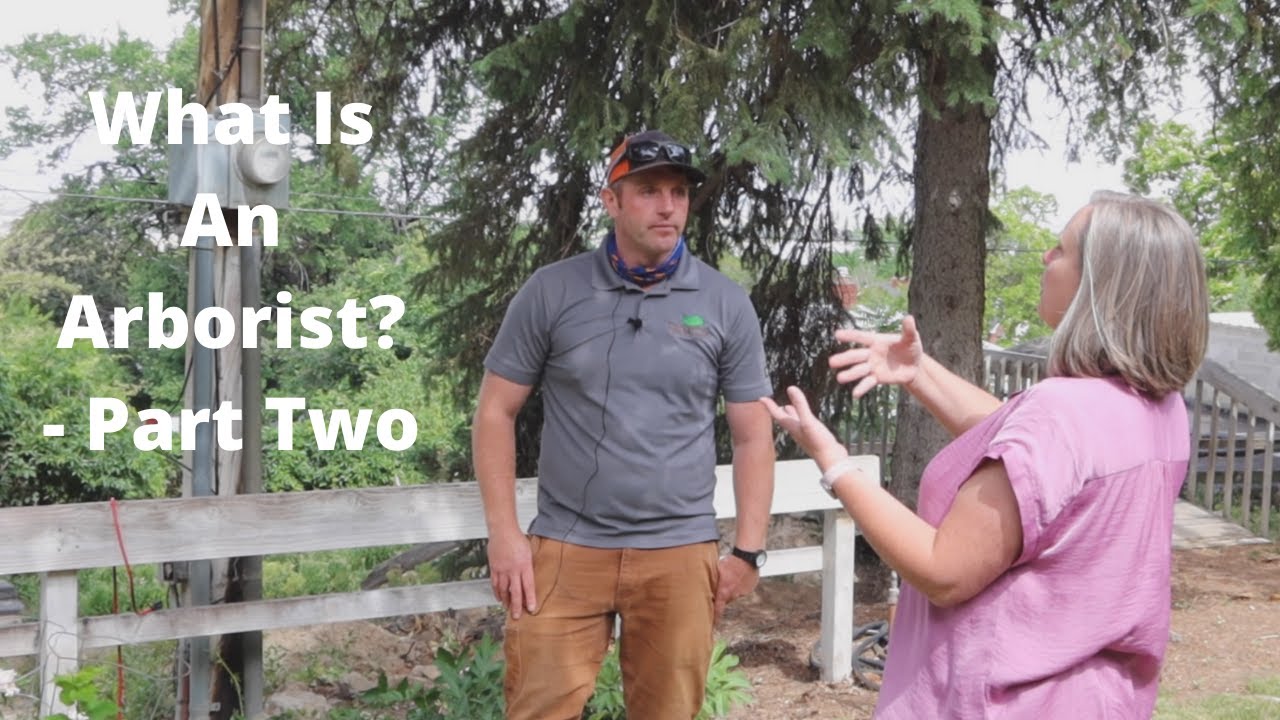 What Is An Arborist - ISA Certified Arborist Jeff Swiss