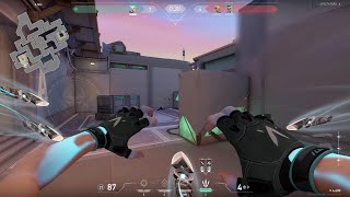 INDOHAX Software Solution - Evicted : Valorant Triggerbot