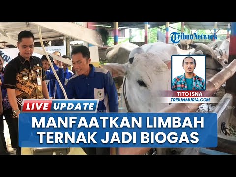 Bupati Jepara Dorong Warga Desa Bucu Manfaatkan Biogas Limbah Ternak: Dukung Wisata Edukasi