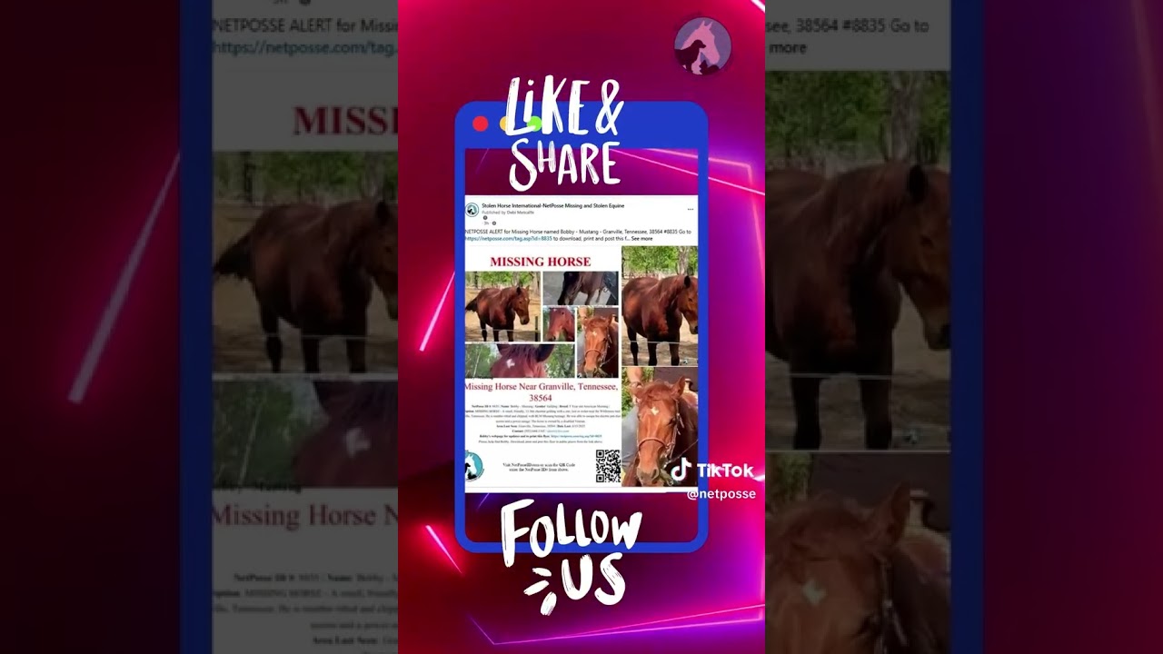 NETPOSSE ALERT for Missing Horse named Bobby - Mustang - Granville, Tennessee, NetPosse ID #8835