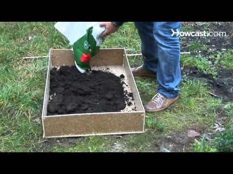 How to Buy Square Foot Gardening Supplies
