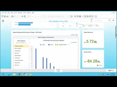 SAP Business One: Introduction