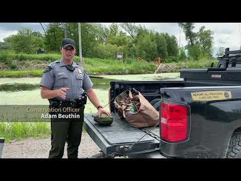 Basic introduction to Michigan waterfowl hunting