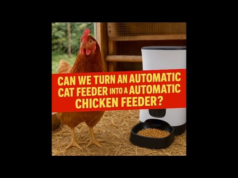 Building a chicken feeder from an automatic cat food feeder