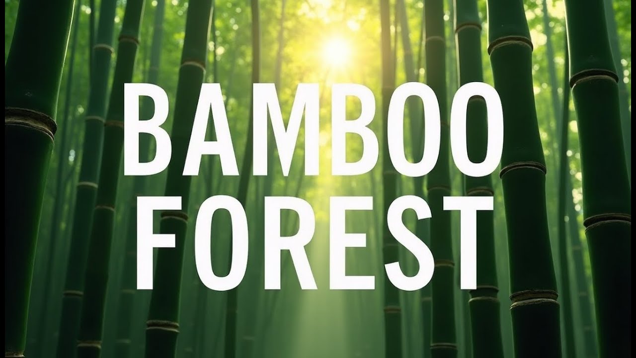 Japanese Bamboo Forest 4K | Arashiyama Zen Atmosphere TV Wallpaper 12 Hours