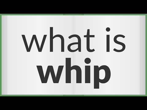 Whip | meaning of Whip