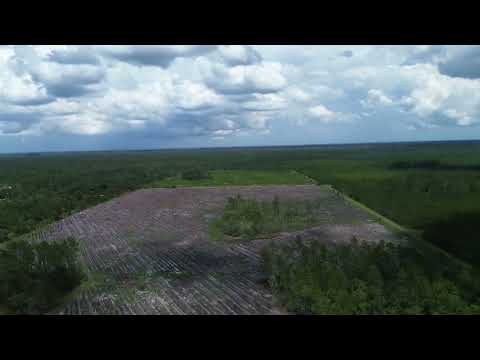 Florida hunting lease now available on HLRBO!