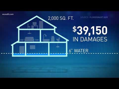 Flood damage vs. water damage: How to know what insurance will cover