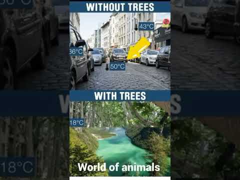 Pictures with deep meaning| #deepmeaningful #deepmeaningpictures #motivation #motivational #viral