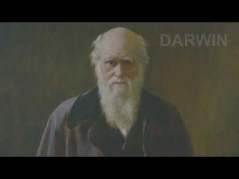 Neo-Darwinism