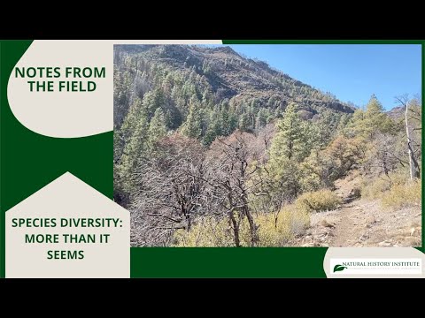 SPECIES DIVERSITY: MORE THAN IT SEEMS!